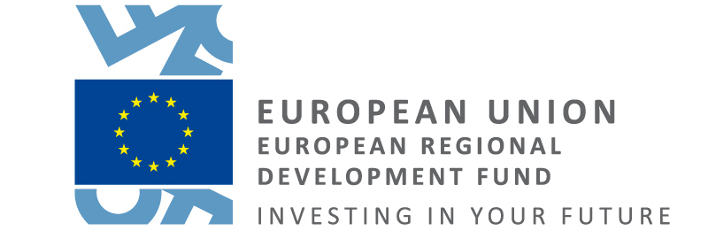 European fund – PRO SKI SIMULATOR